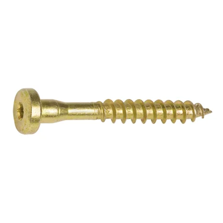 PH Screw 10 x 80 mm for RICON S & WALCO V80
