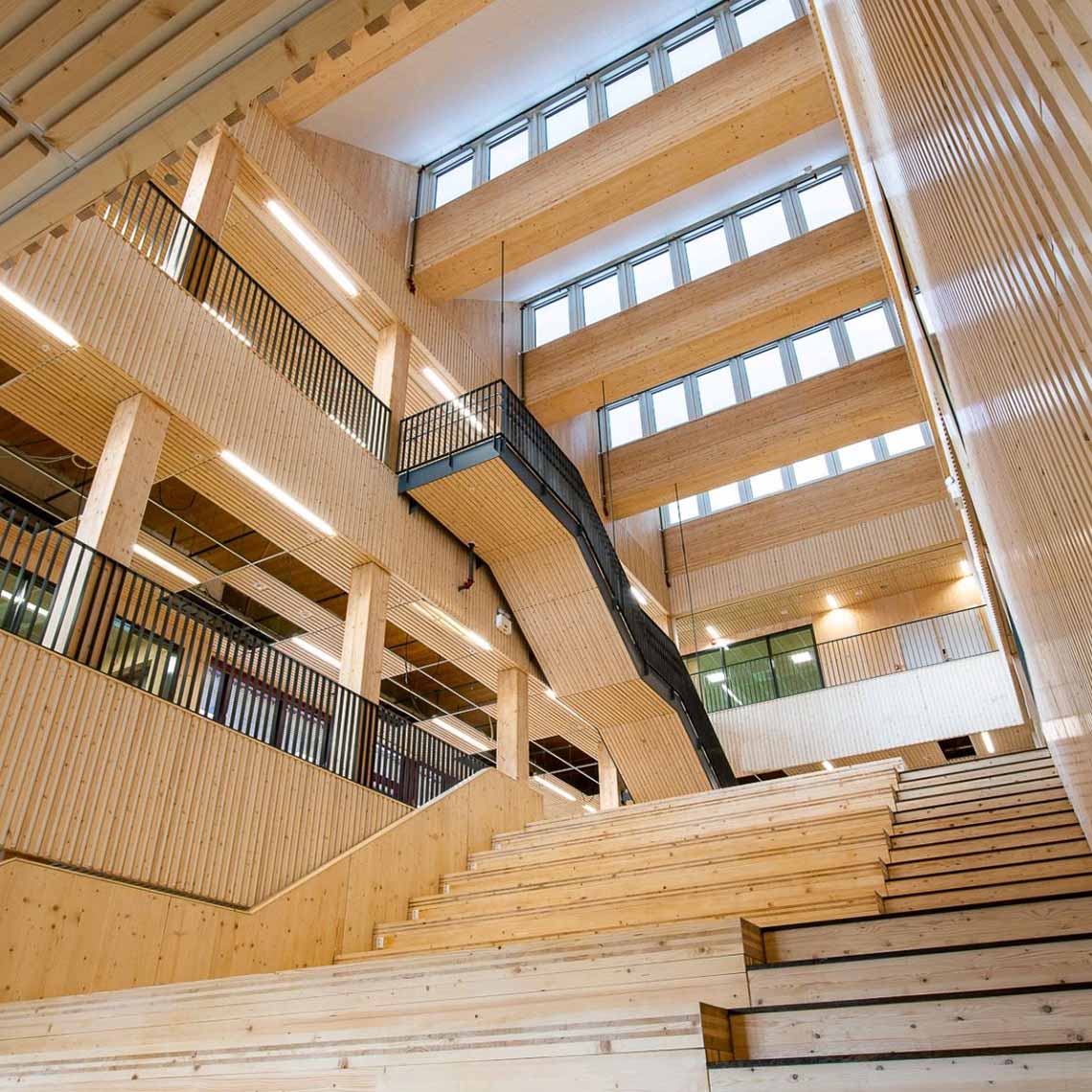 Sophie Radic School | RICON S Timber Connector Case Study