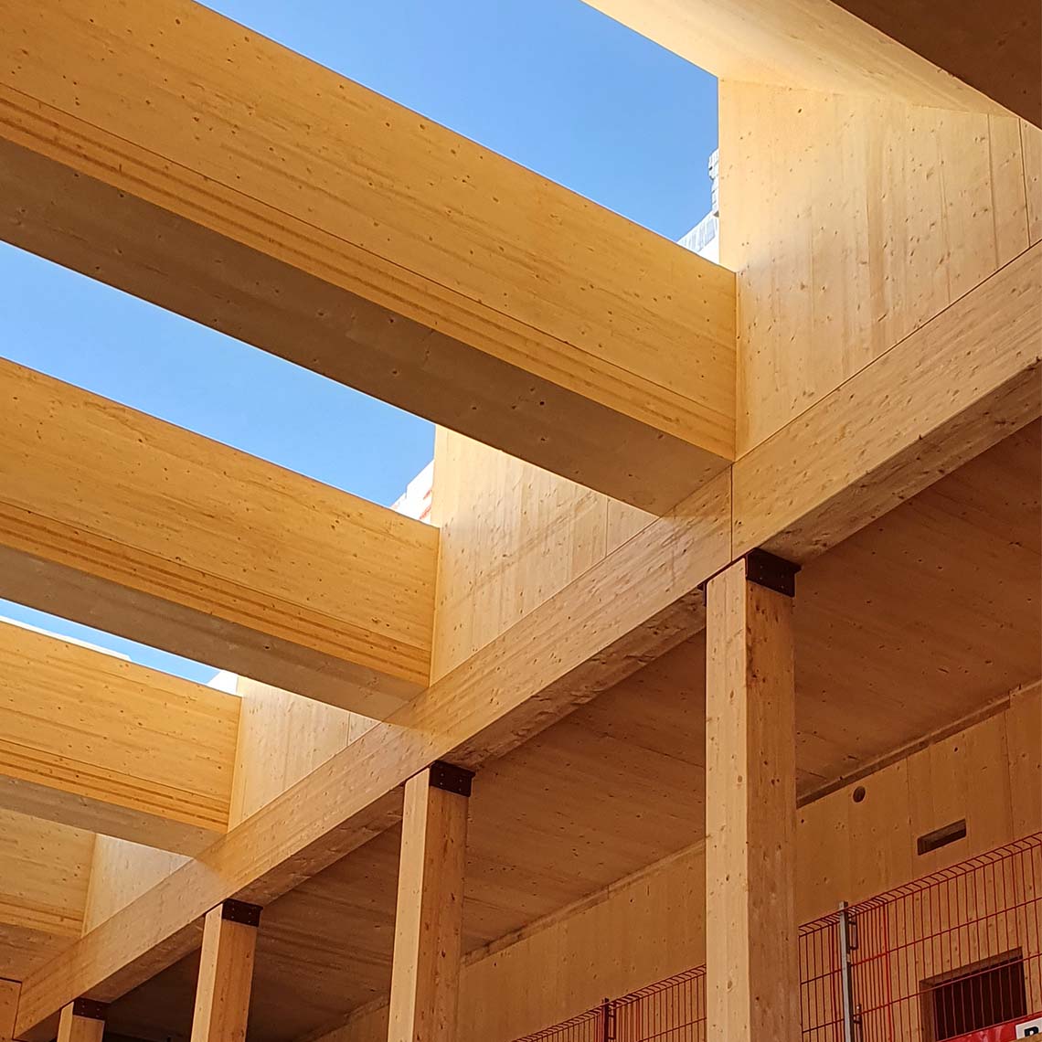 Sophie Radic School | RICON S Timber Connector Case Study